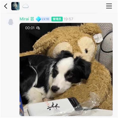 20221210 歪宝趴达菲 奉天承芸时光站