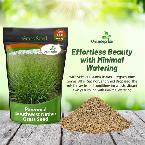 How To Make Grass Seed Grow