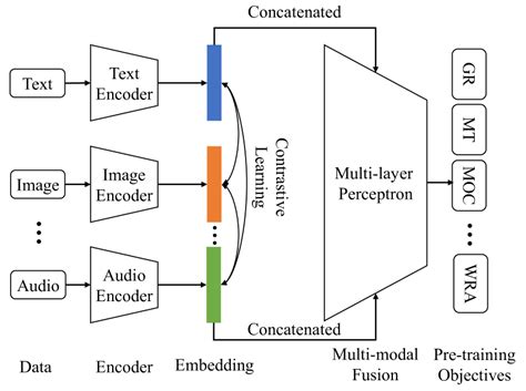 Large Scale Multi Modal Pre Trained Models A