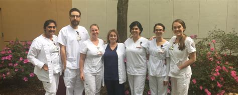 Concurrent Bsn Enrollment Associate Degree In Nursing