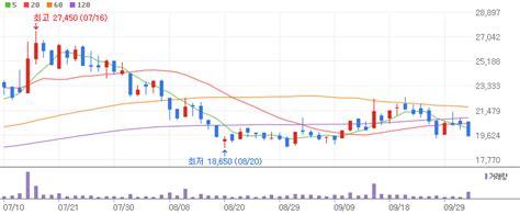 코츠테크놀로지 배당금 주가 전망 실적발표 2024 Review Or Not