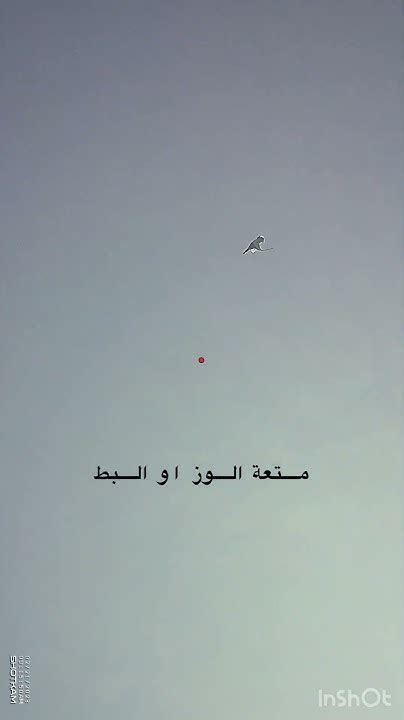 متعة الوز او البط Goose Or Duck Fun Youtube