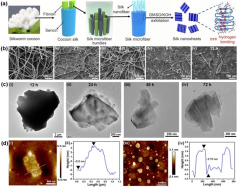 Nano Res │东华大学武培怡教授团队 抽丝剥茧寻真相，新型“丝片”探奥秘：新型蚕丝蛋白纳米片的制备与组装研究 X Mol资讯