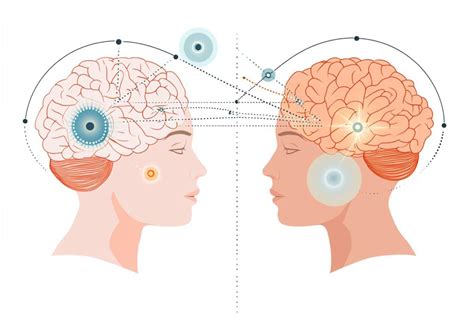 How The Brain Separates Perception From Memory Neuroscience News