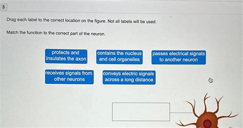 Drag Each Label To The Correct Location On The Diagra