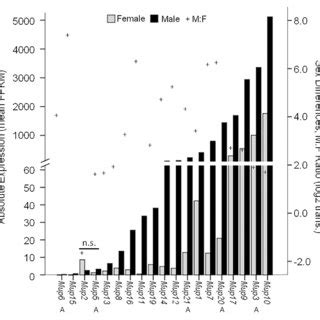 Sex Differential MUP Gene Expression MUP Expression Of Male Black Download Scientific