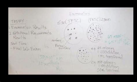 Optical Density Readings Using The Spectrophotometer