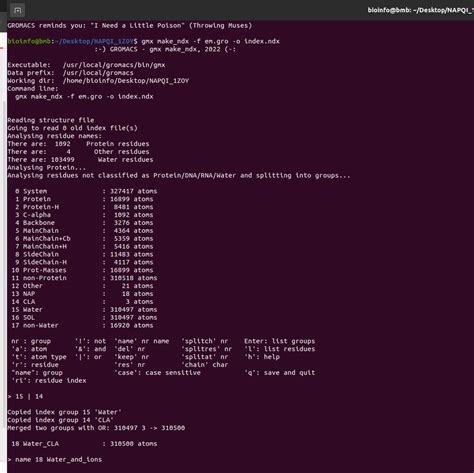 Technical Problem In Indexing In Gromacs Urgent Researchgate