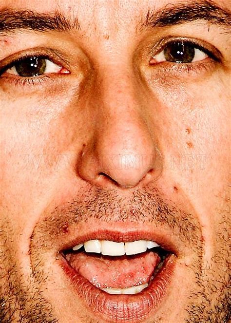Celebrity Close Up Shots Celebrities Celebrity Close Up Shots Celebrities