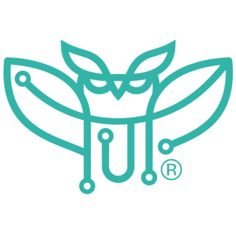 Complete Course Bundle Embedded Artistry