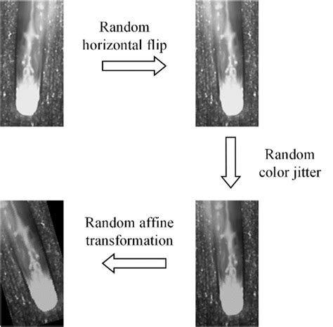 Data Augmentation Process Download Scientific Diagram