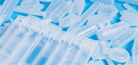 What Is Polypropylene Used For 15 Examples Of Pp Plastic Uses