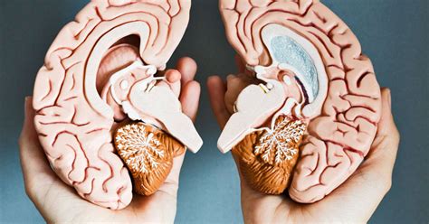 9 Ways To Hack Your Brain