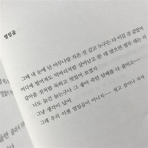 창작 문예에 있는 핀 영감 인용구 인생에 관한 명언 인용문