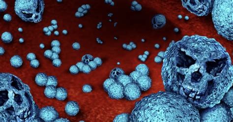 항생제 내성 슈퍼박테리아와의 전쟁 시작됐다