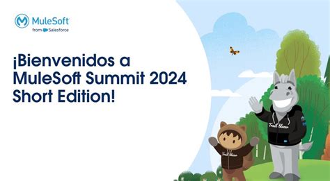 Ricardo Usaola On Linkedin Salesforce Mulesoft