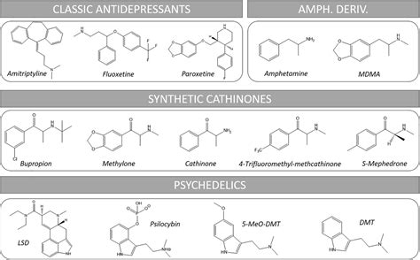 Frontiers 3 4 Methylenedioxy Methamphetamine Synthetic Cathinones And Psychedelics From