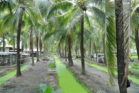 กรมส่งเสริมการเกษตร หนุนเกษตรกรทำเกษตรอินทรีย์ สถานีวิทยุกระจายเสียงเพื่อการเกษตร