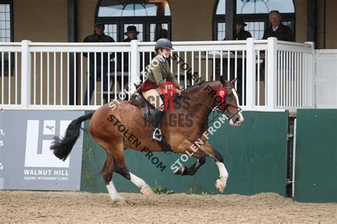 S591369 2024 1st Class Images