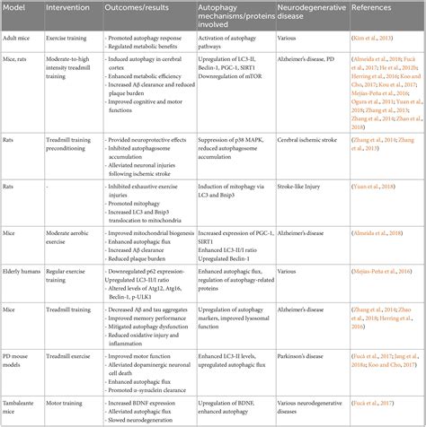 Frontiers The Interplay Between Physical Exercise And Autophagy