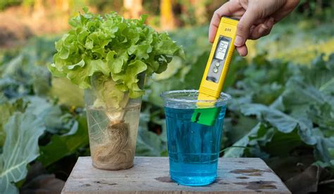 Best Ph For Hydroponics How To Set And Maintain Nutrients