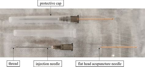 Parts Of A Thread Embedding Acupuncture Device Download Scientific Diagram