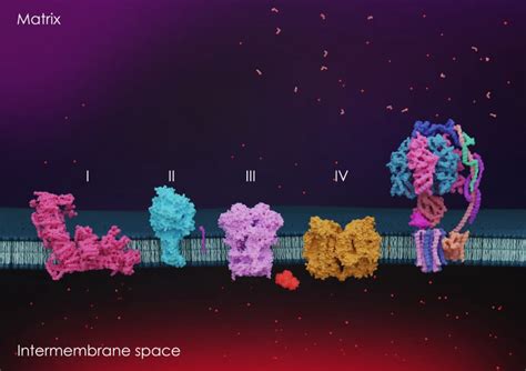 Crispr Biotech Engineering On Linkedin Cell