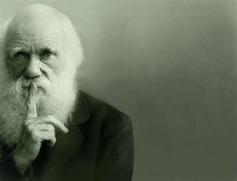 Sorry Darwin Research Shows Human Intelligence Is In Steady State Of Decline Starcasm