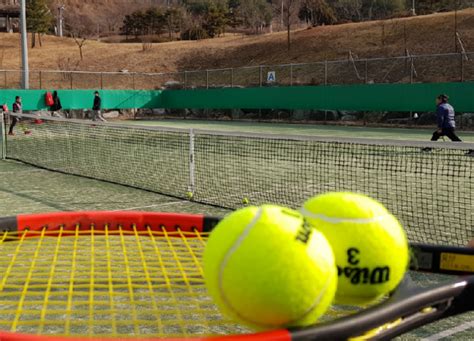 테니스 서비스 최고 속도 순위 코트 표면 잔디 천연 인조 클레이 하드 앙투카♥♥♥ 네이버 블로그