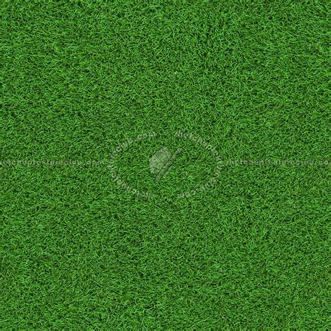 Artificial Green Grass Texture Seamless 13066