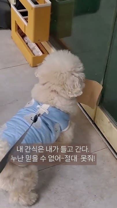 🤔 간식을 물고 집에 갈 수 있을까요 🤔 Youtube