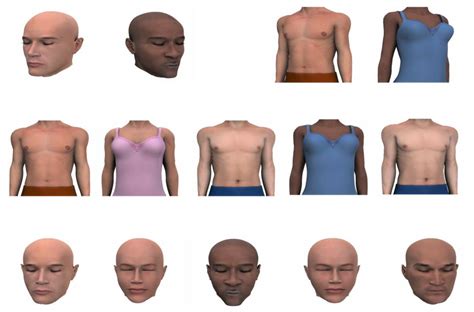 Figure 21 From Visual Perception Of Social Directional Cues That Facilitate Joint Attention