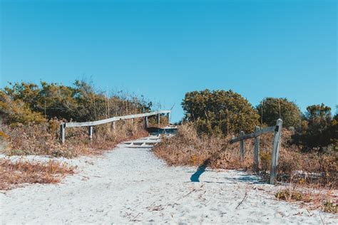 Best Scenic Spots In Fort Lauderdale For A Photo Shoot The Biostation