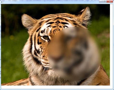 java how to apply a blur only to a rectangular area within a pane
