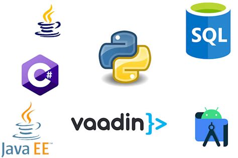 Do Programming In C Sharp Java Java Ee Python Mysql Android Studio Vaadin By Zanplahuta Fiverr