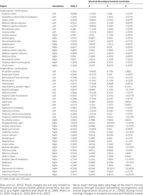 Regional Homogeneity Values In Different Brain Regions In Rats With