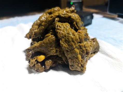 Poop Pile With Corn Image 3312949 Thisvid Tube