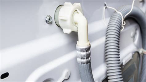 Moldy Dishwasher Drain Hose Causes Risks And How To Fix It