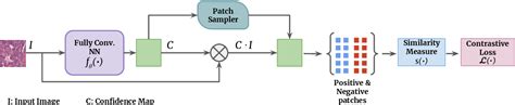 Figure 2 From Efficient Self Supervision Using Patch Based Contrastive