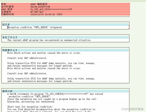 Sap报错 Exception Condition “cntlerror“ Triggeredcntl Error Csdn博客