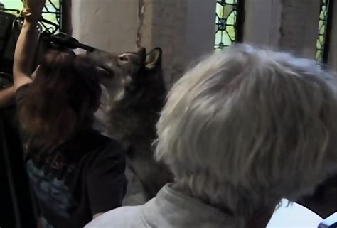 Simon Wolf Bts Eporner