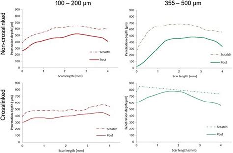 Penetration Depth During And After The Scratch Tests Download Scientific Diagram