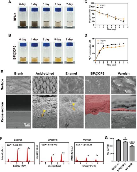 Black Phosphorus Nanosheets‐loaded Mussel‐inspired Hydrogel With Wet