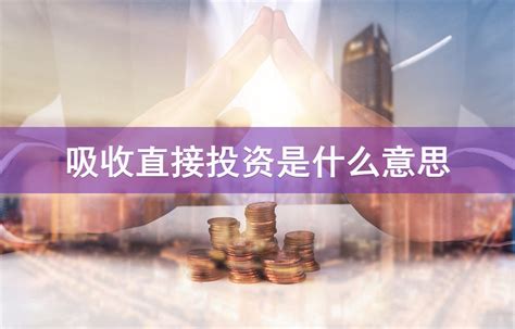 吸收直接投资是什么意思 会计网