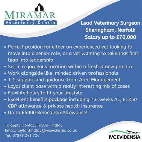 Hayley Stokes On Linkedin Newjobopportunity Veterinarysurgeon Newcareerpath