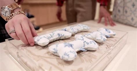 Marcus Lehmann On Linkedin Americans Love For Furry Friends Fuels