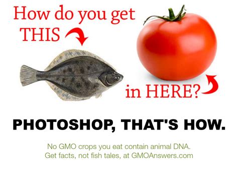 The Most Common Gmo Myths Gmo Answers
