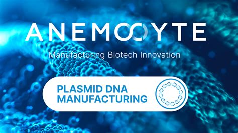 Plasmid Dna Comprehensive Solutions From Randd To Gmp