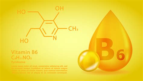 현실적인 B6 피리독신 비타민 방울과 구조 화학 공식 3d 비타민 분자 B6 피리독신 디자인 알약 캡슐을 떨어 뜨립니다 비타민 B에 대한 스톡 벡터 아트 및 기타 이미지