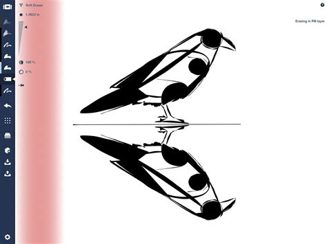 Easy Reflection Drawings